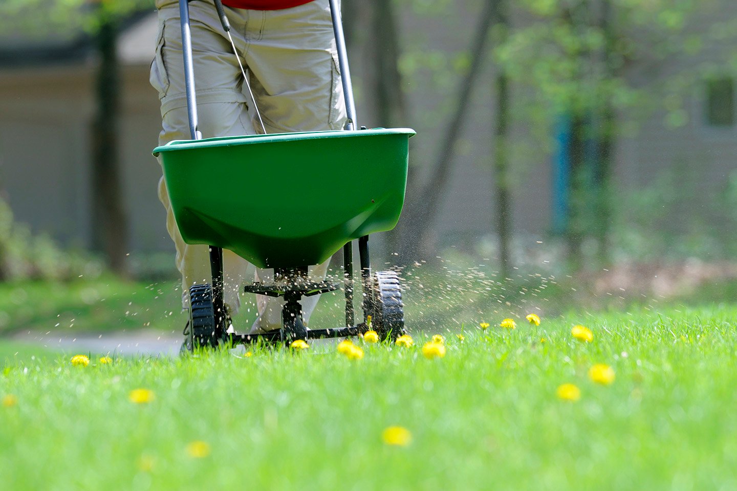 7 tips til plen uten mose | Obsbygg.no