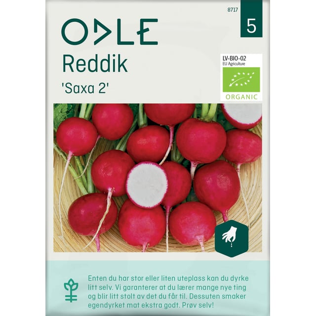 Odle 'Saxa 2' reddik frø | Obsbygg.no
