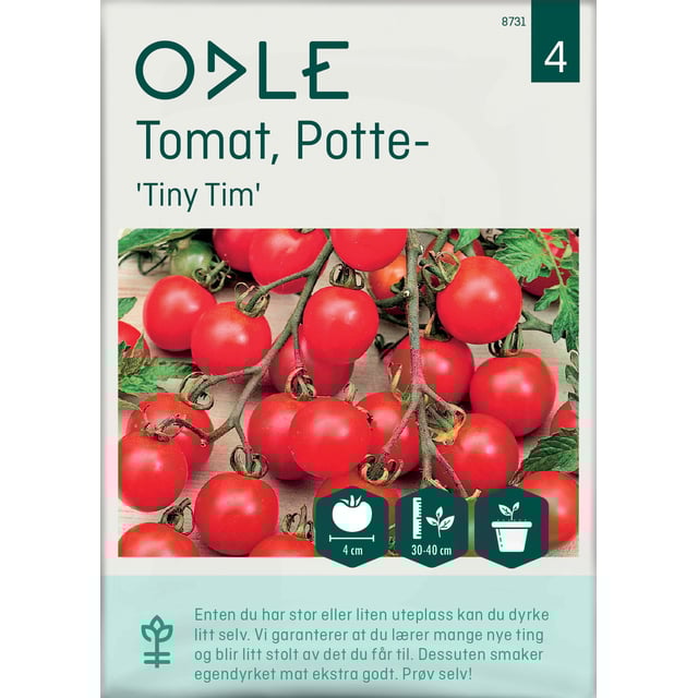Odle 'Tiny Tim' potte cherrytomat frø | Obsbygg.no