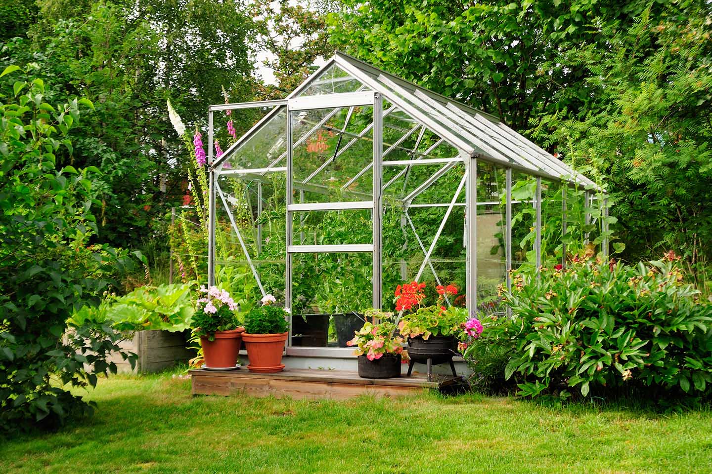 5 tips til deg som drømmer om drivhus | Obsbygg.no