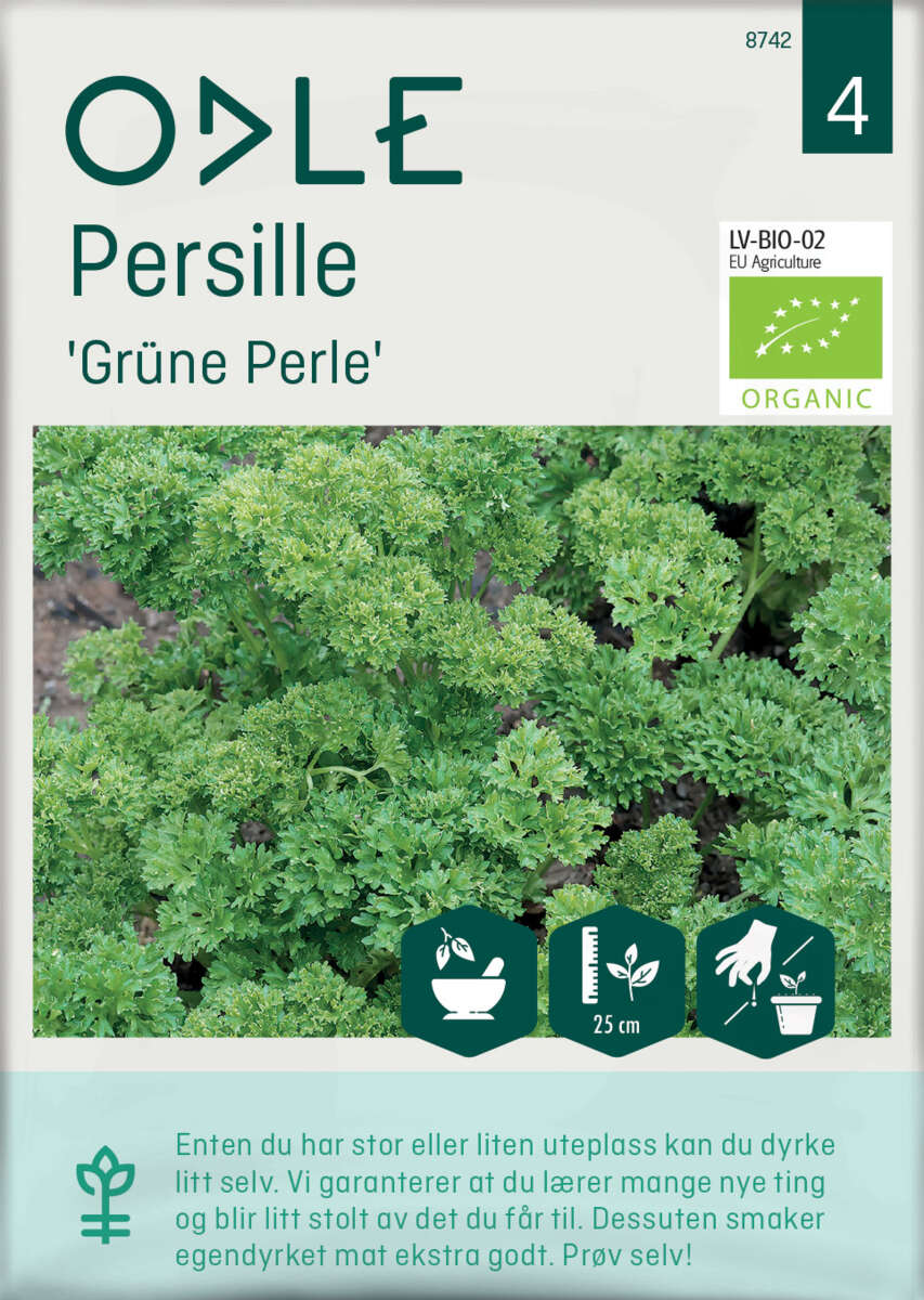 Odle 'Grüne Perle' persille frø | Obsbygg.no